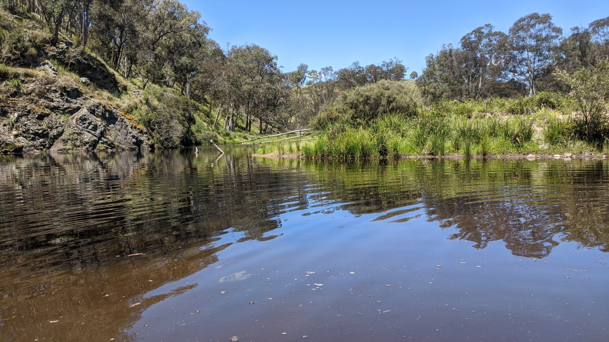 Guwaagi Gamangi Ngurrambaa Aboriginal Corporation – We are dedicated to ...